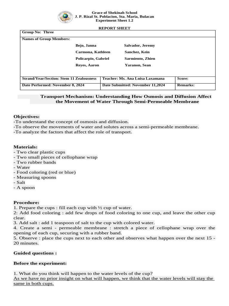 Eukaryotic vs. Prokaryotic Cells A Microscopic Exploration (Experiment ...