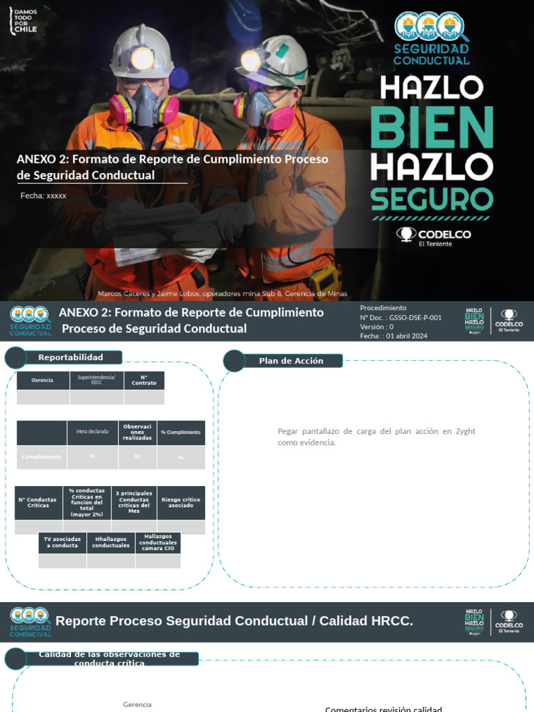 Anexo 2 Formato Reporte Cumplimiento Proceso de Seguridad Conductual ...