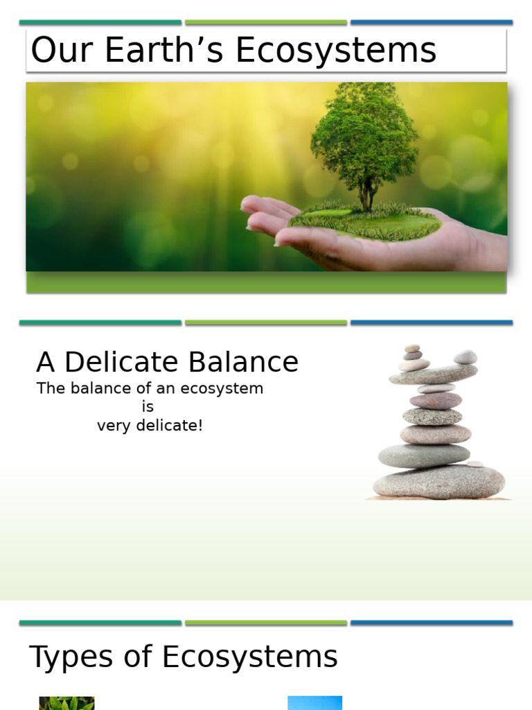 P04c1ecosystem LastFirst | PDF