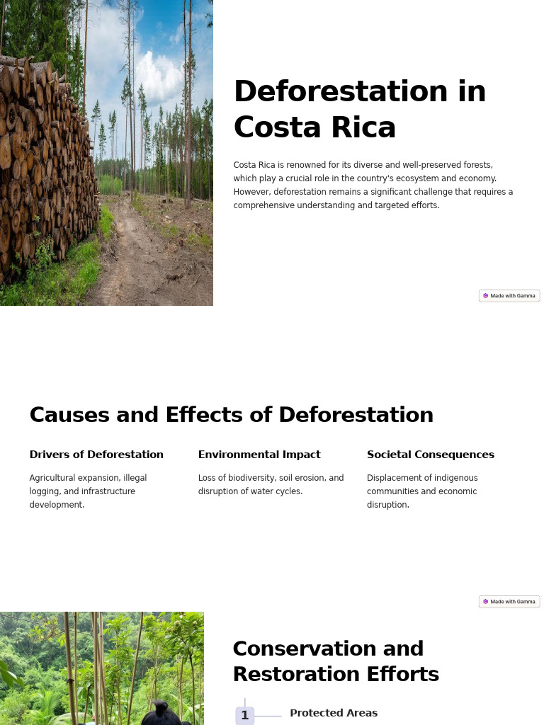 Deforestation in Costa Rica | PDF