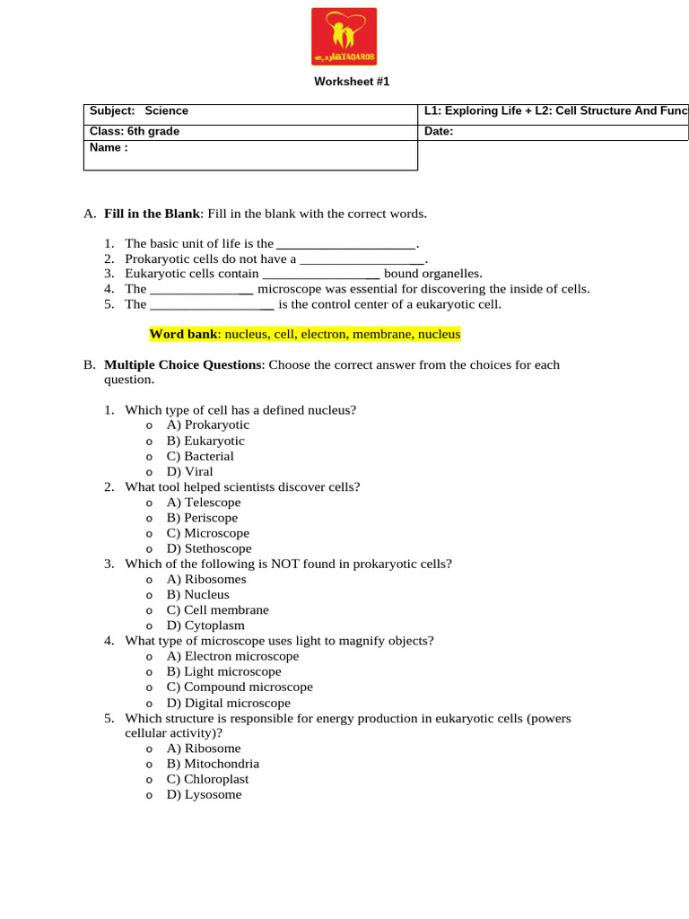 Worksheet G6 answers 1 | PDF | Cell (Biology) | Prokaryote