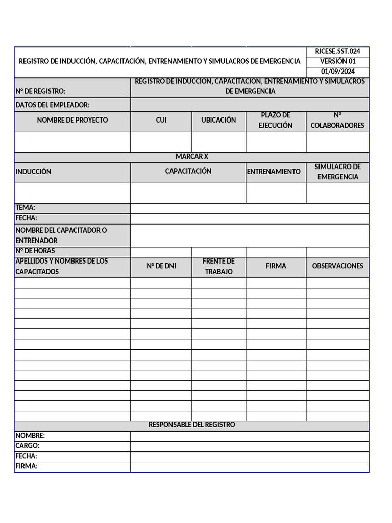 Formato de Registro de Inducción, Capacitación, Otros | PDF