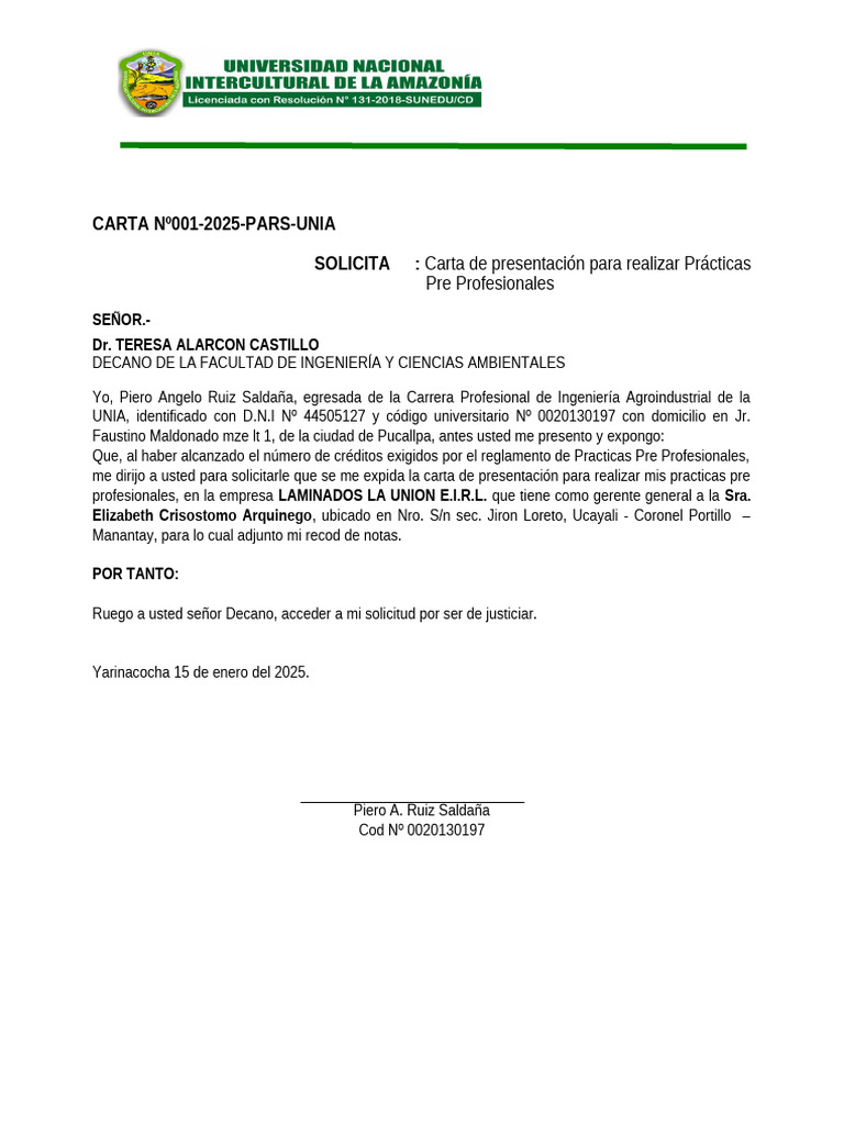 SOLICITUD de PPP | PDF