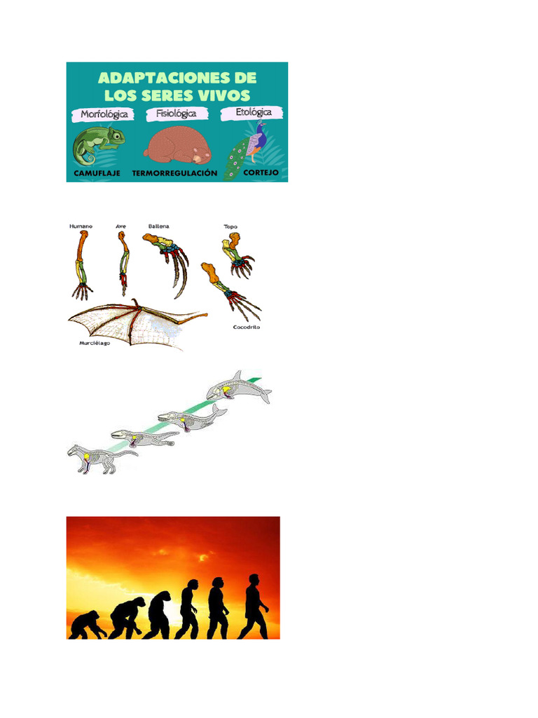 Documento Sin Tã - Tulo | PDF