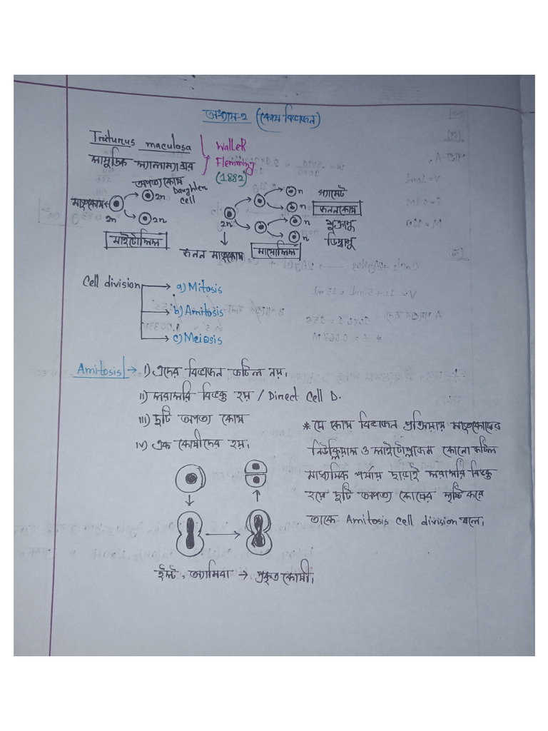 HSC Botany Chapter 2 (1st Part) | PDF