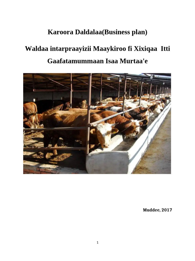 Karoora Daldalaa Furdisa Loonii (Repaired) | PDF