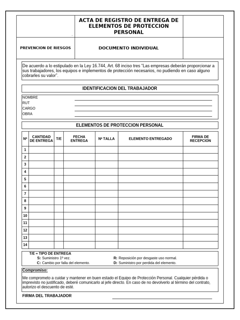 Entrega de Epp | PDF