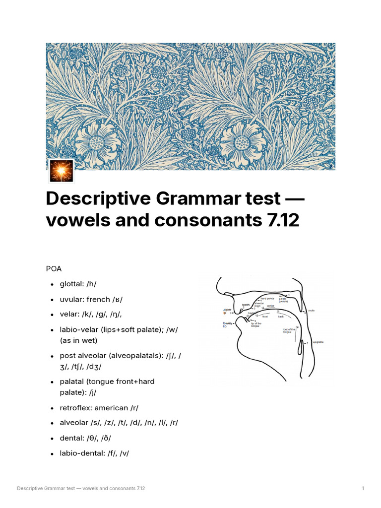Descriptive Grammar Test - Vowels and Consonants | PDF | Phonetics ...