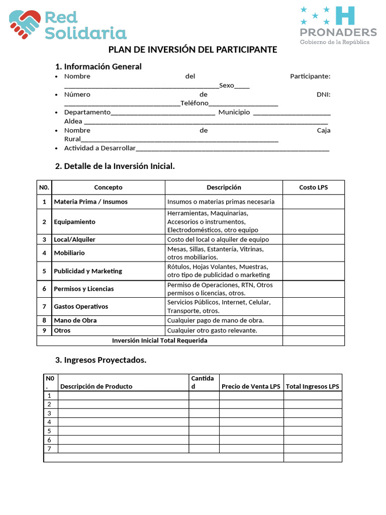 Formato Plan de Inversion Participantes | PDF | Negocios económicos ...