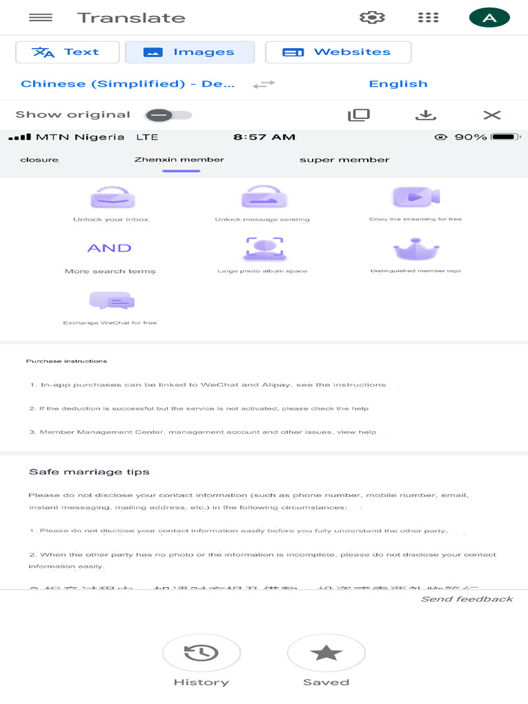 Google Translate | PDF