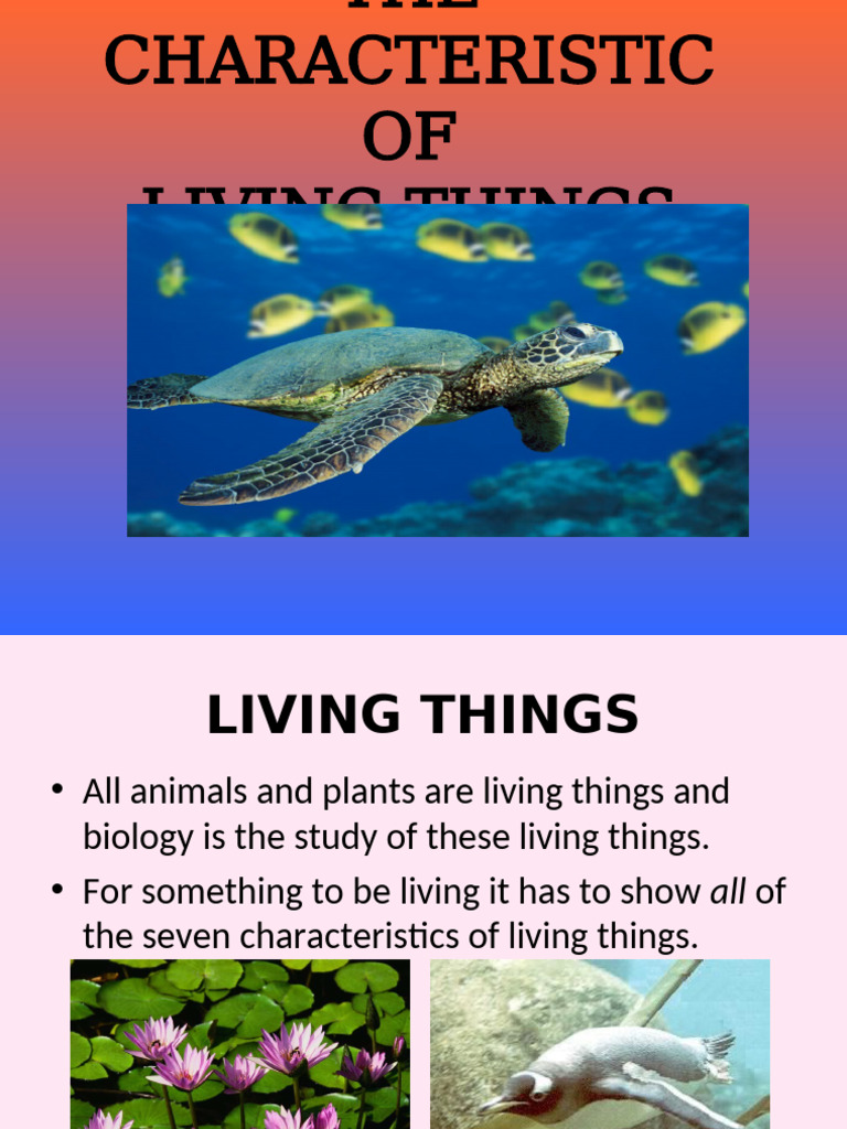 6.1 Characteristic of Living Things | PDF