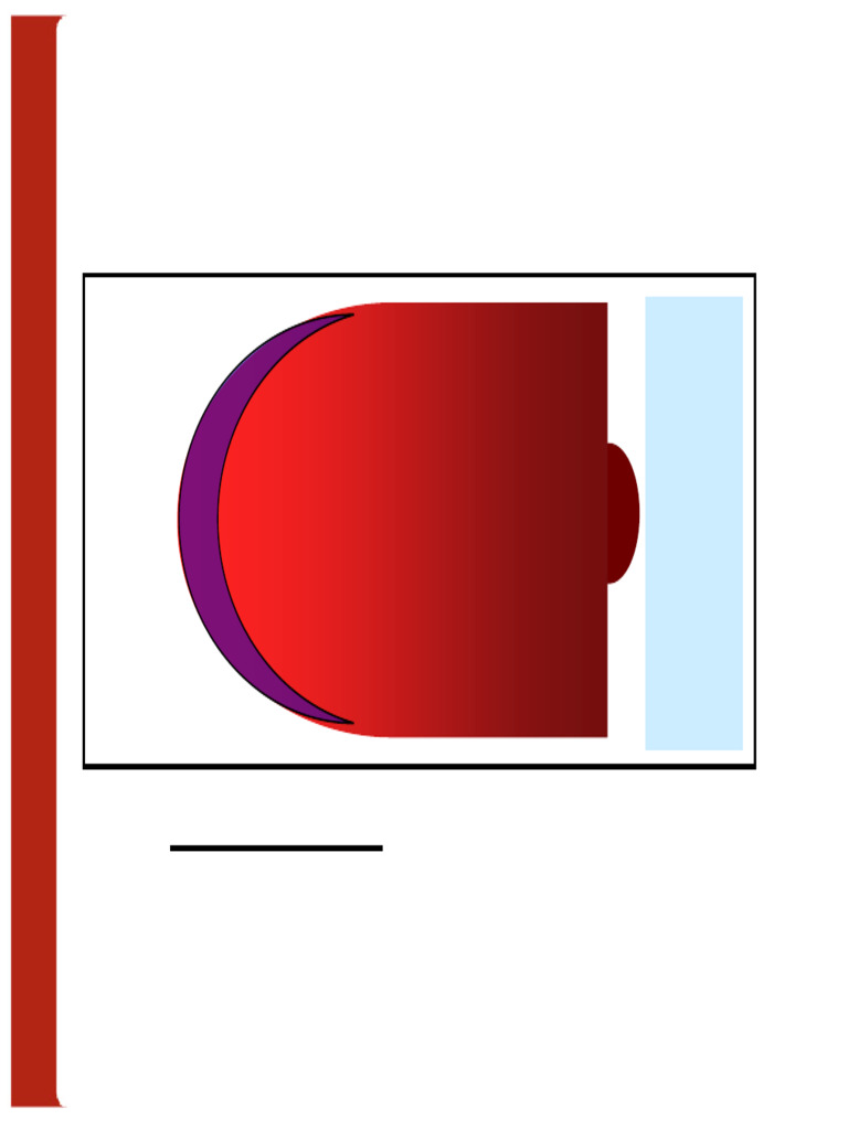 Anatomy of Blood Film | PDF