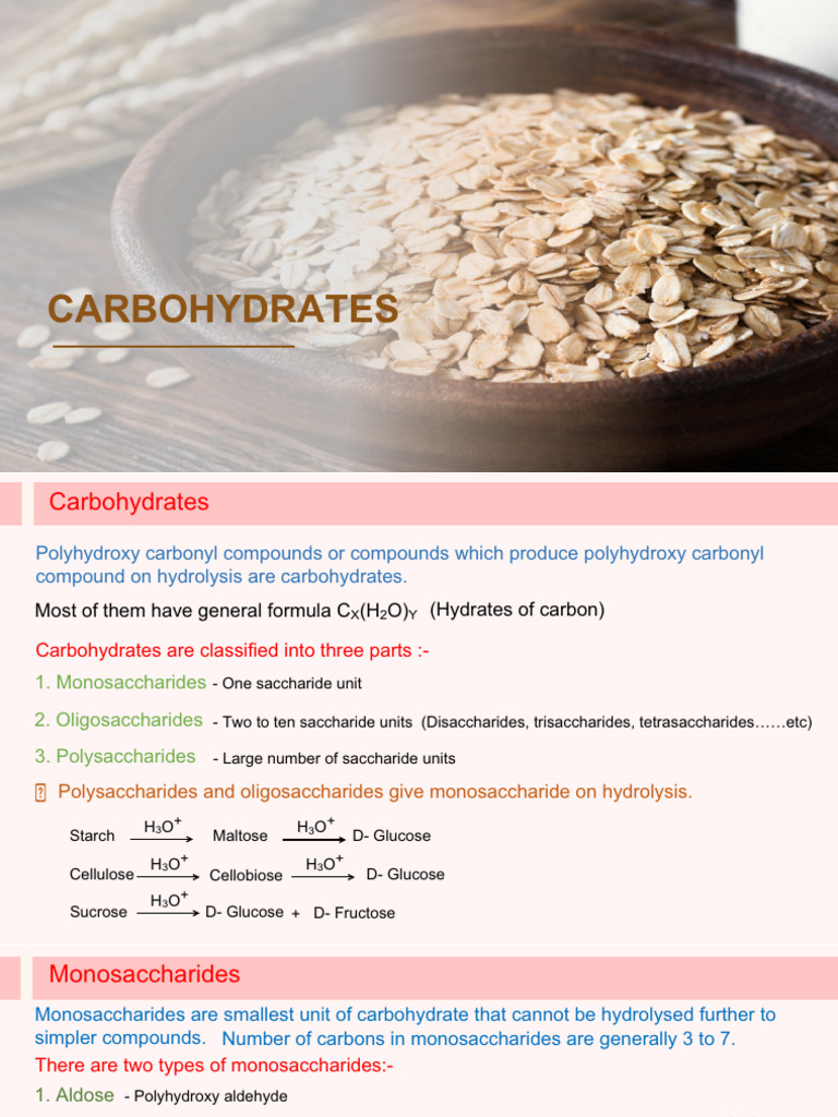 carbohydrates complete | PDF