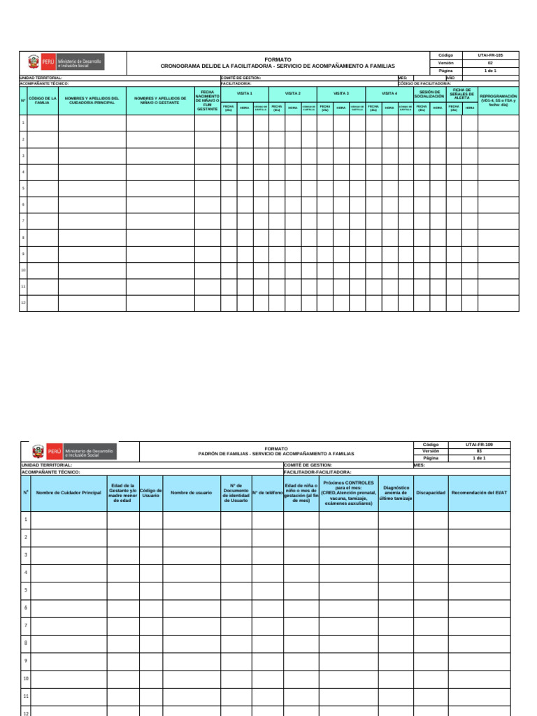 ANEXOS Editables Directiva SAF Actualizacion v4 Final | PDF