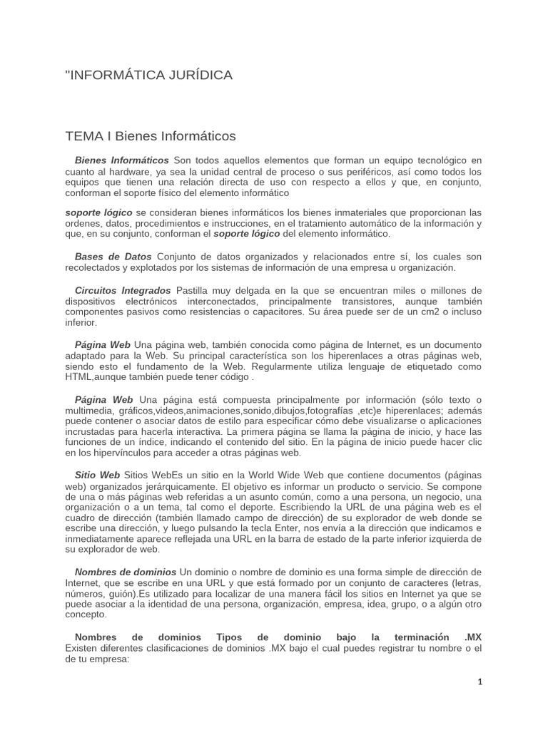 Bienes Informáticos y Derecho Informático | PDF | sistema de nombres de ...