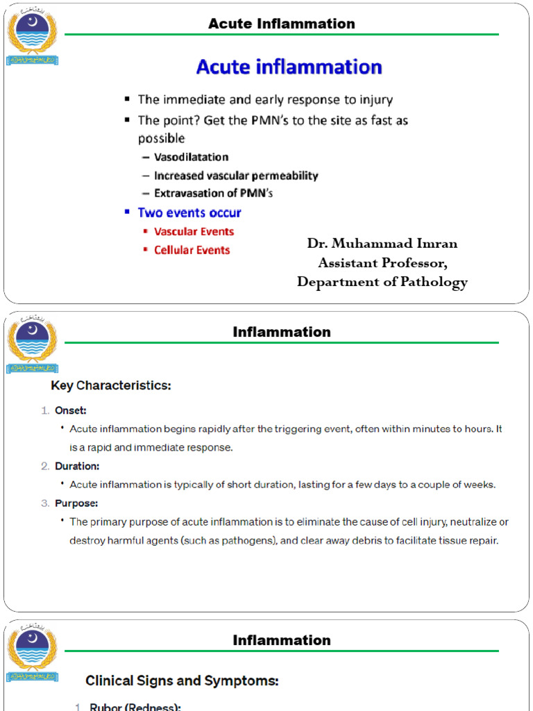 L2 - Acute Inflammation, Signs and Mechanism | PDF