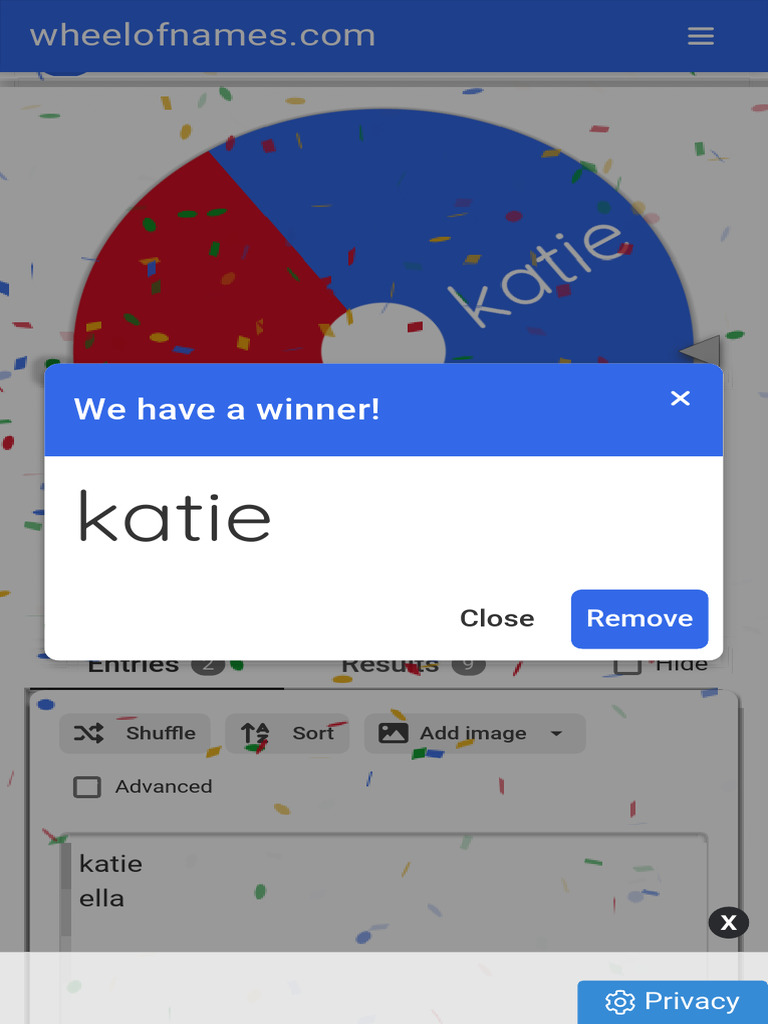 Wheel of Names Random Name Picker | PDF