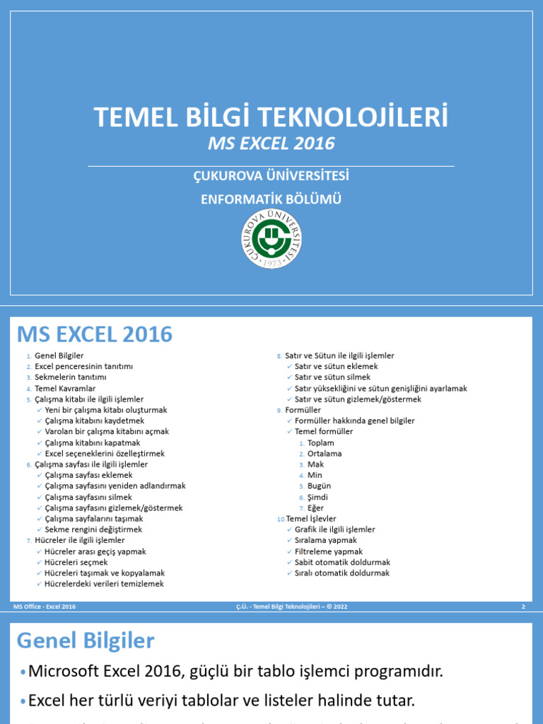 Ms Office Excel 2016 | PDF