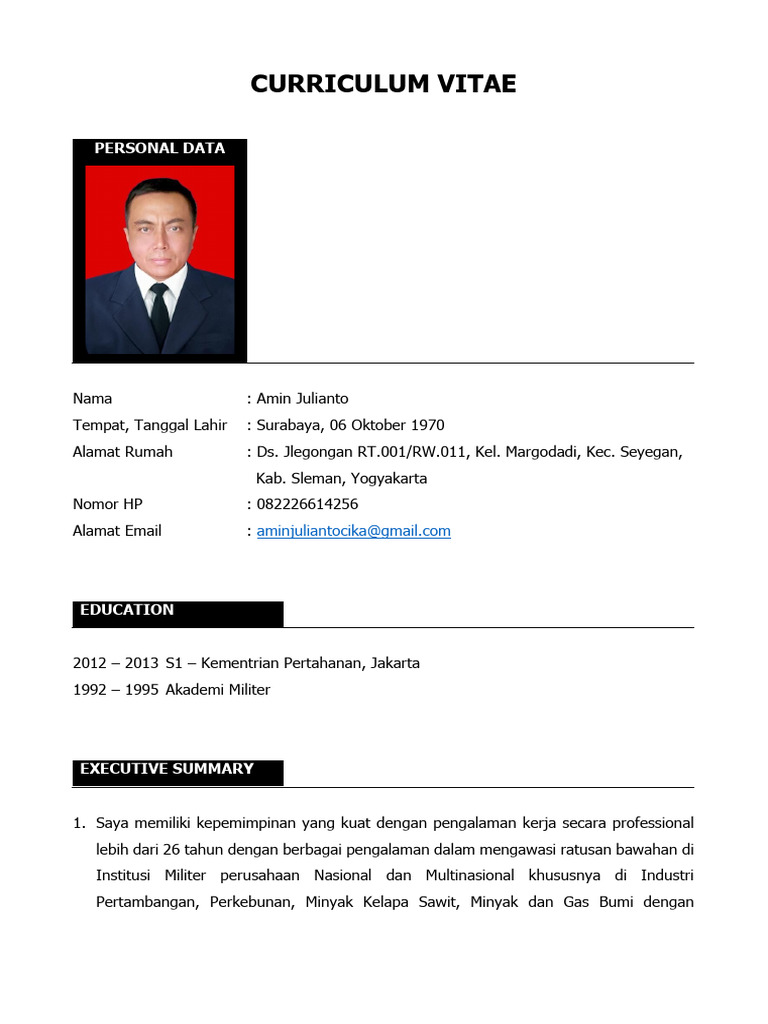 CV Amin Julianto | PDF