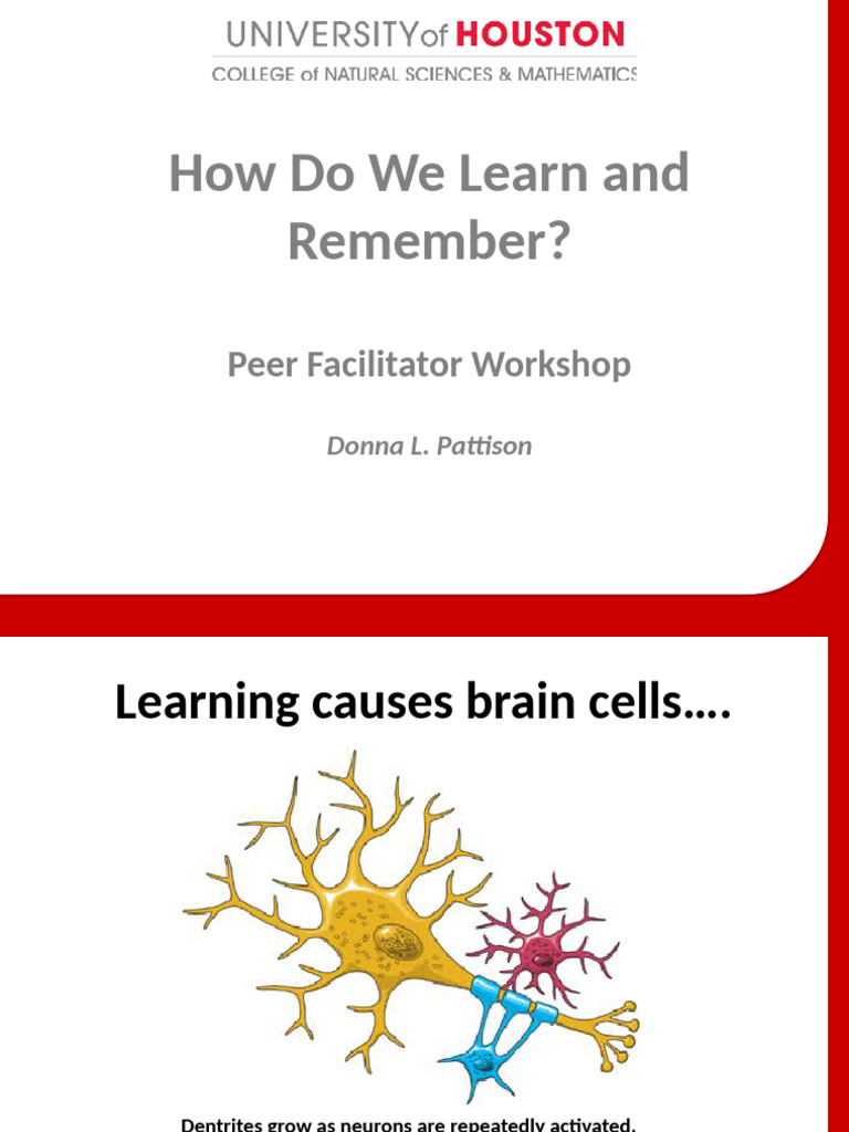 How Learning and Memory Occur | PDF | Memory | Learning