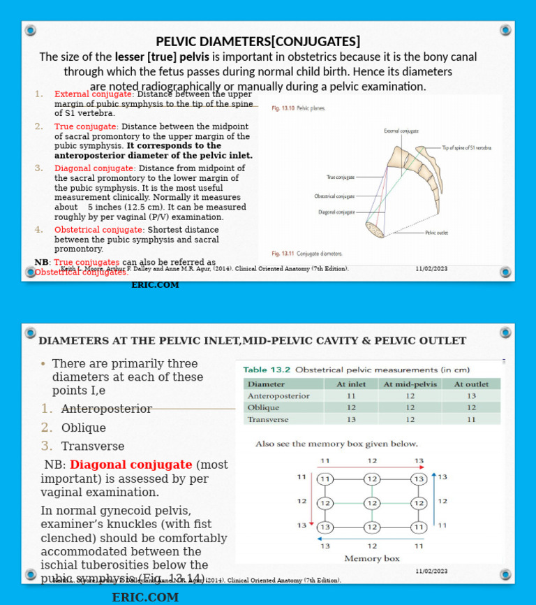 Pelvic Conjugates in Obstetrics | PDF