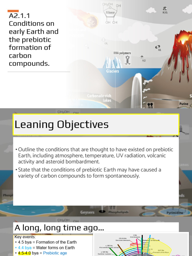 A2.1 Origins of Cells HL Only (Classroom) | PDF | Cell (Biology) | Life