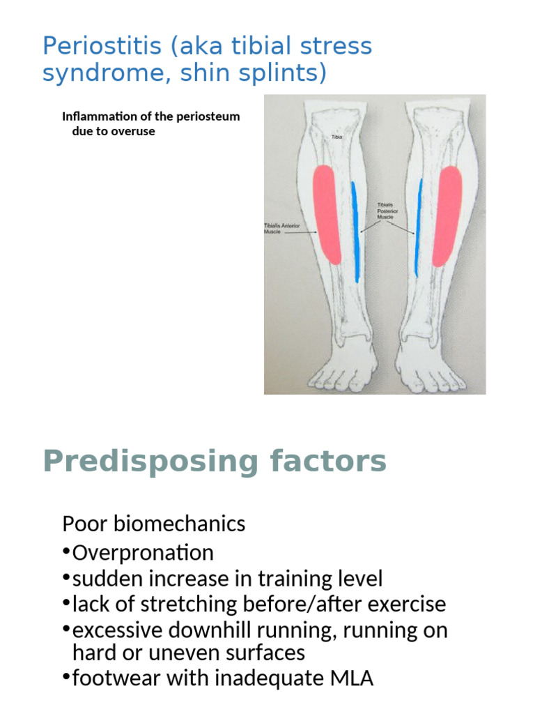Periostitis W20 | PDF