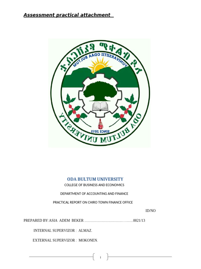JALETA MOHAMMED PRACTICAL Attachment | PDF | Swot Analysis | Employment