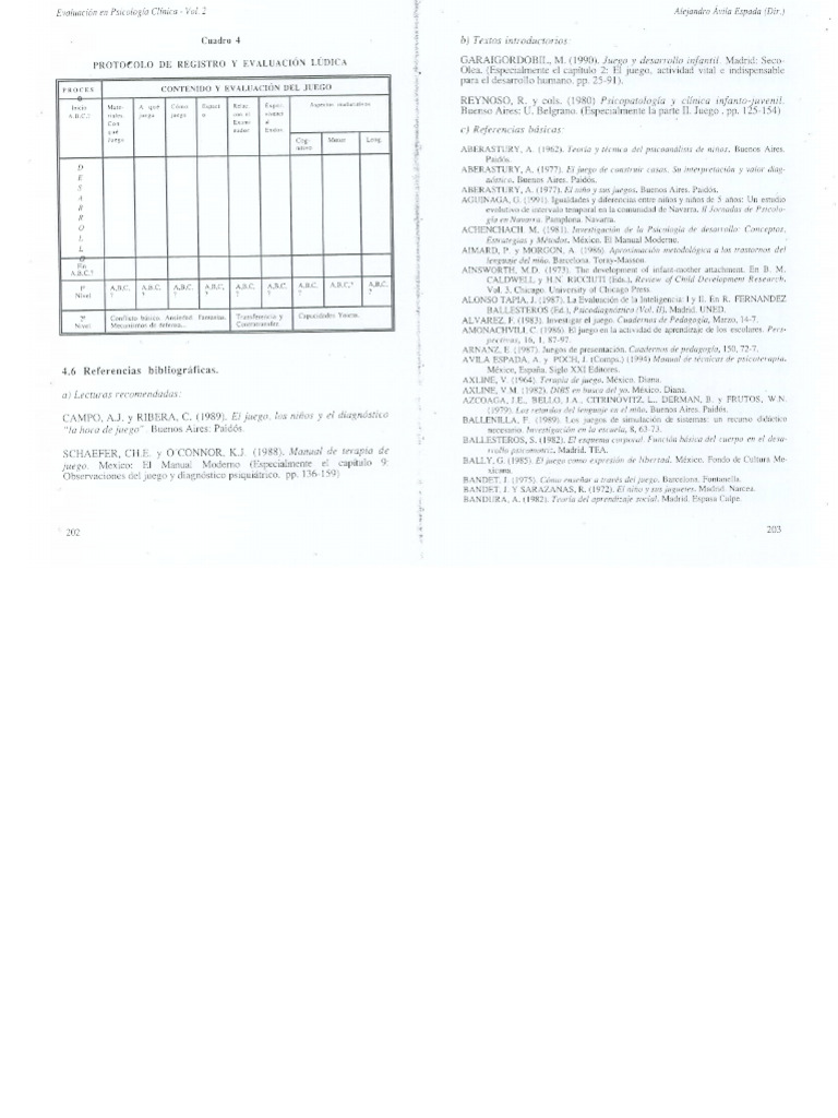 Protocolo de Registro Ludico | PDF