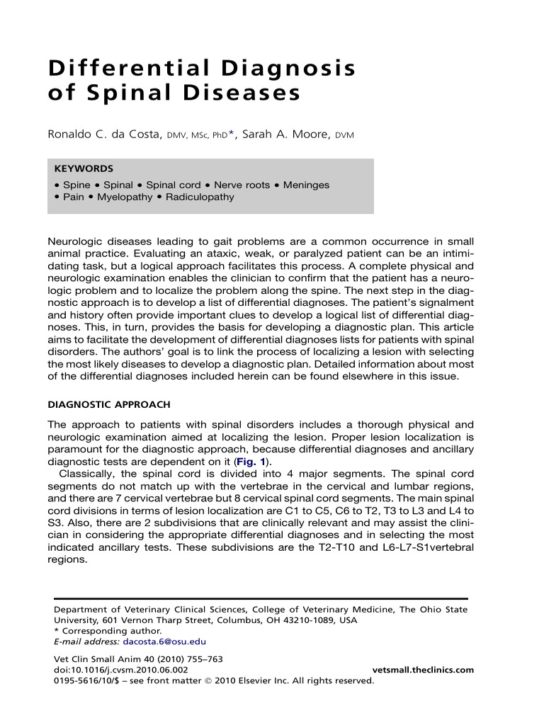 Differencial Diagnosis of Spinal Diseases | PDF | Vertebral Column ...