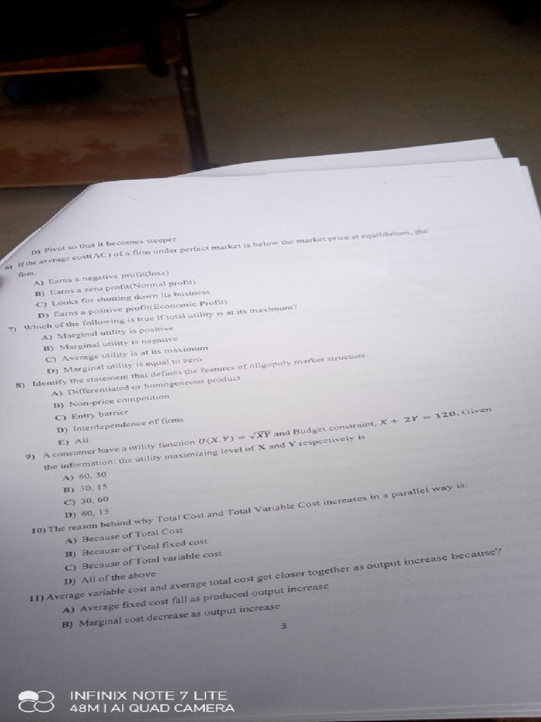 Economics Final Exam 6 (AAU) (1) | PDF