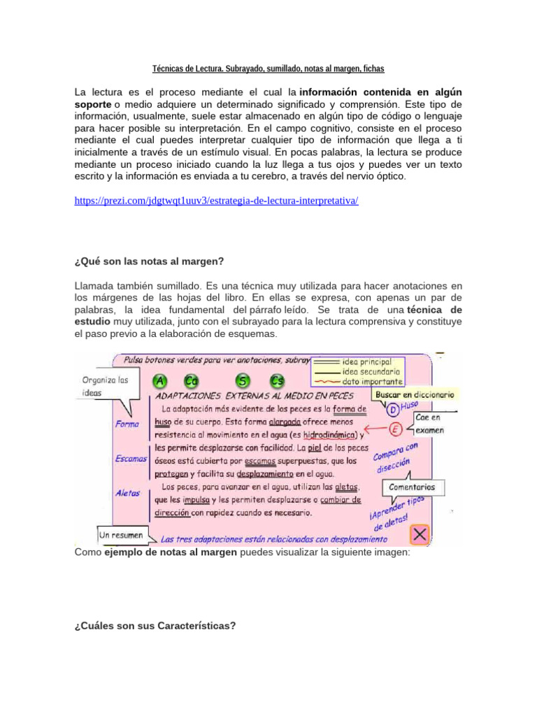 Técnicas de Lectura: Notas al Margen | PDF