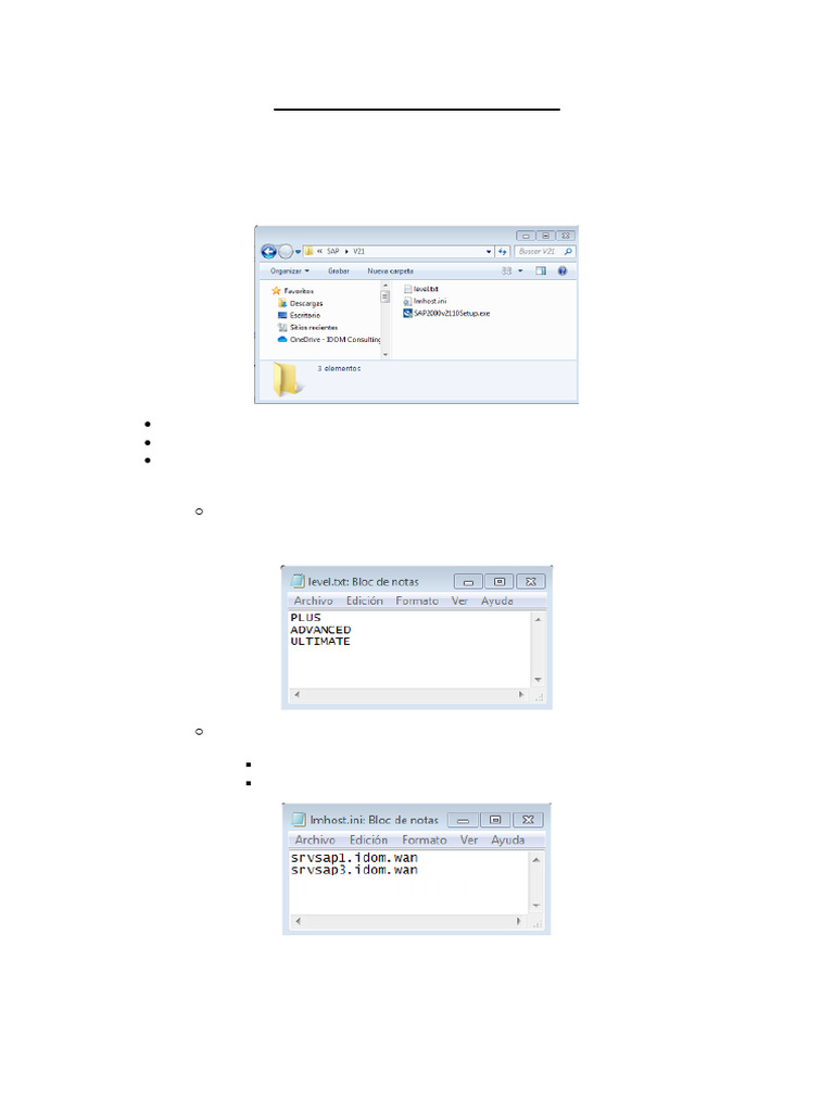 SAP2000 INSTALLATION PROCEDURE Rev02 | PDF