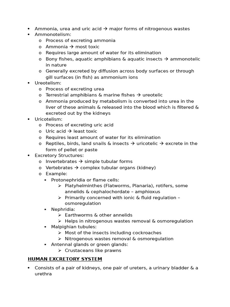 Excretory Products & Their Elimination Notes Class 11 CBSE | PDF ...