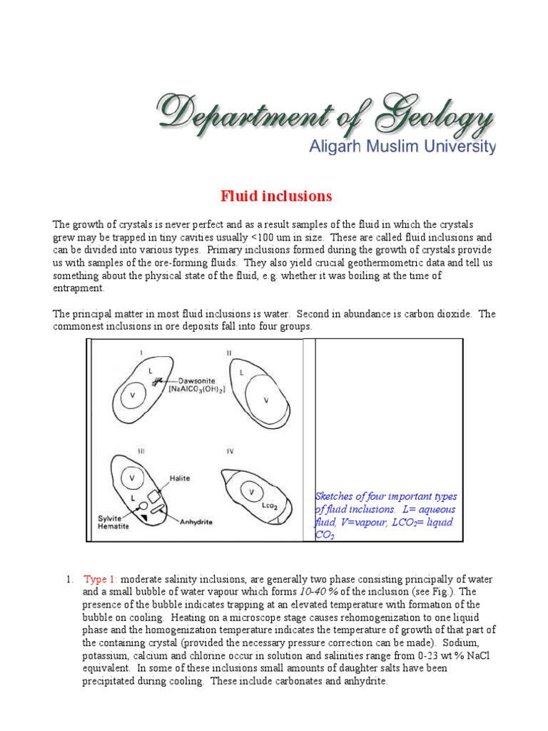 An Overview of Fluid Inclusion Types, Applications to Geothermometry ...