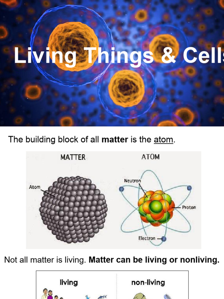 Living Things & Cells | PDF