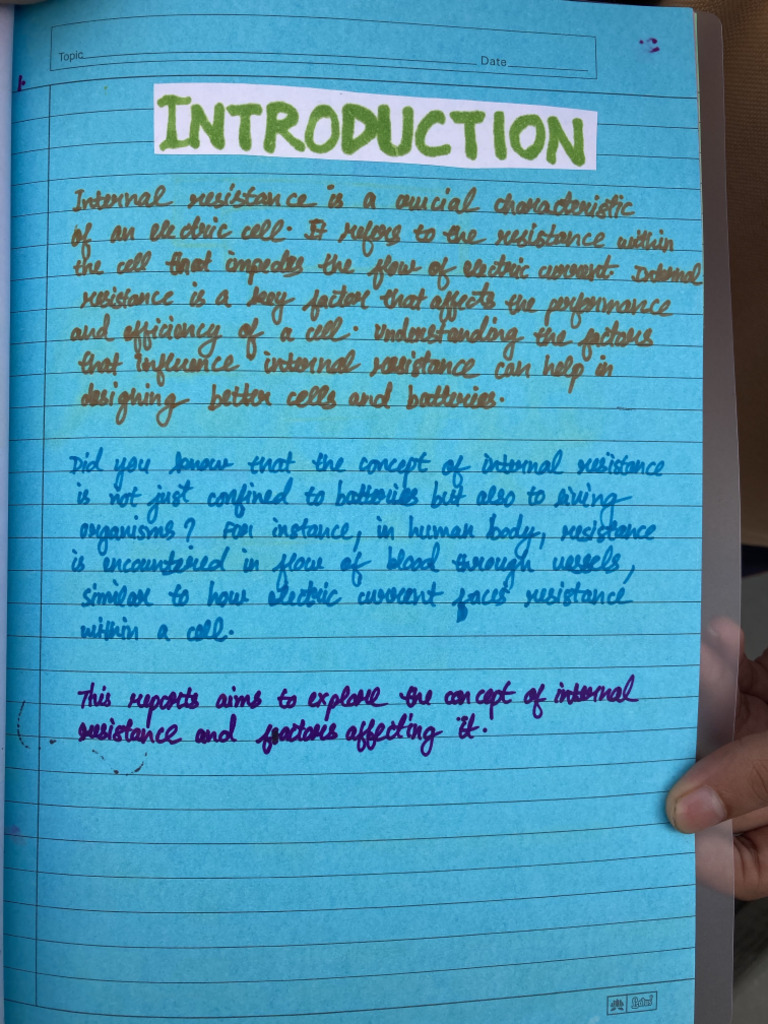 Int Project Resistance | PDF