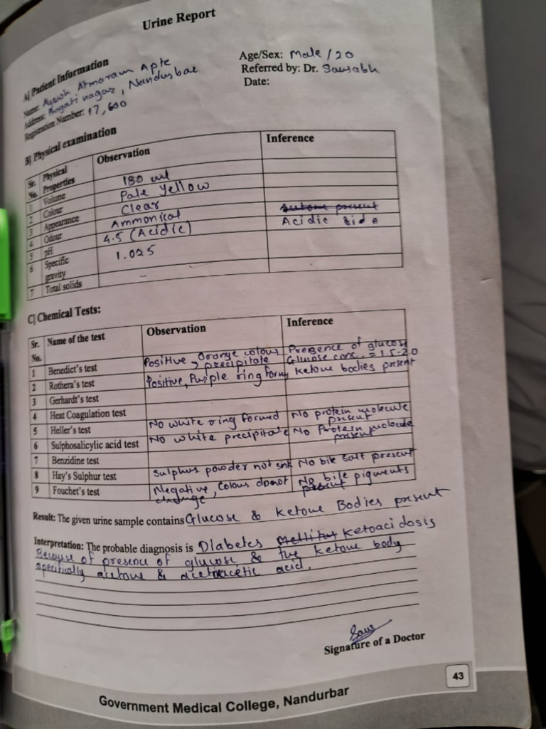 Mbbs Urine Report | PDF