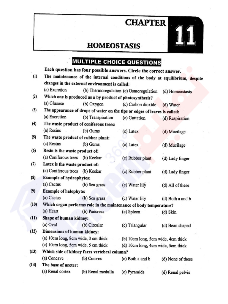 Taleem360 Website Overview | PDF