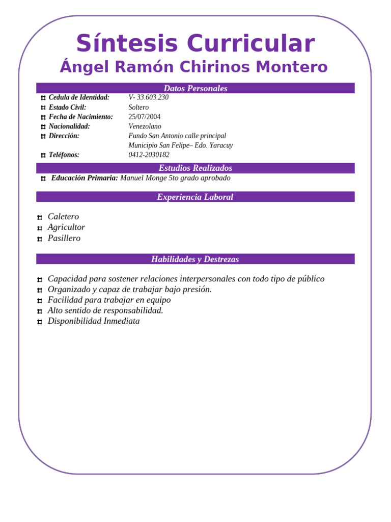 Currículum de Ángel Ramón Chirinos | PDF