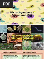 Notes of CH 2 Microorganisms - Friend and Foe - Class 8th Science | PDF ...