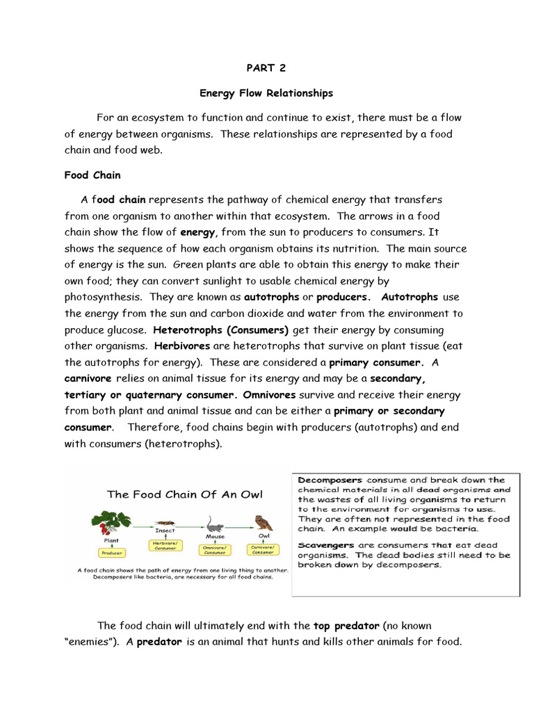 2- Energy flow - ecology notes | PDF | Food Web | Foods