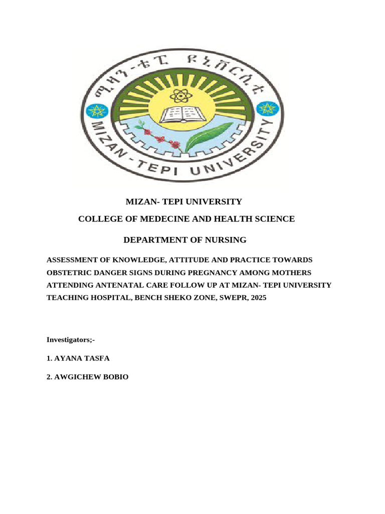 Ayu$ Augchew Reaserch Paper | PDF | Maternal Death | Maternal Health