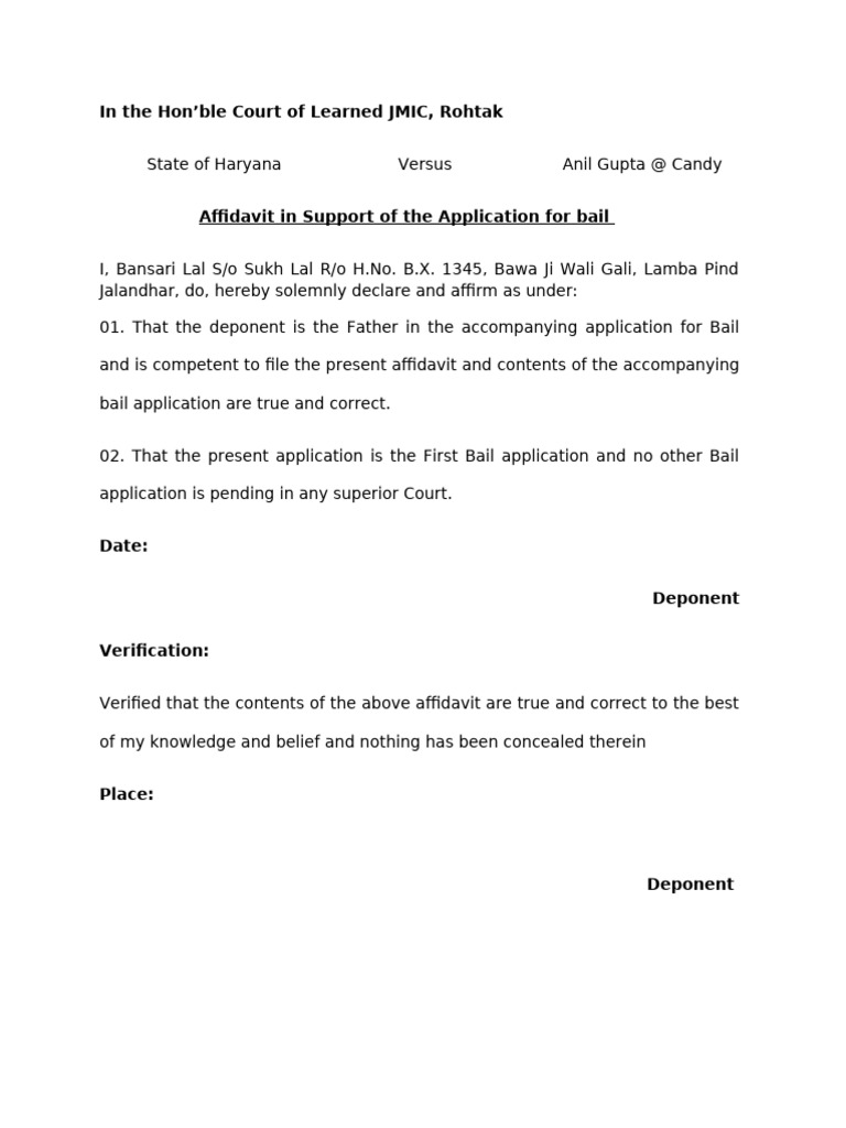 Affidavit bail[1] | PDF