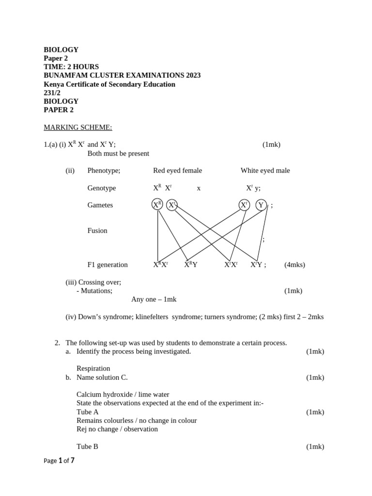 Bio p2-ms | PDF | Heart | Ventricle (Heart)