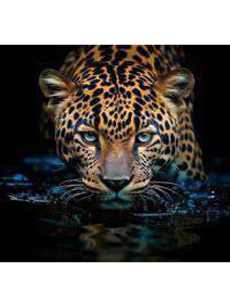 transferir (2) | PDF