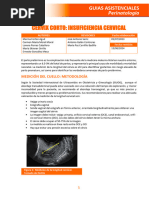 Guía de Cervicometría FECOPEN | PDF | Parto prematuro | Parto