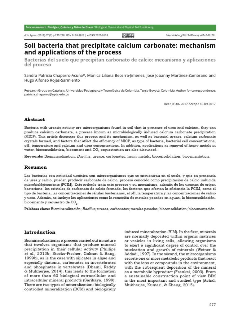 PCIM-Reacciones Completas | PDF | Carbonate | Urea