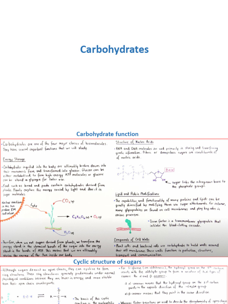 Simple & Complex Carbohydrate 2 | PDF