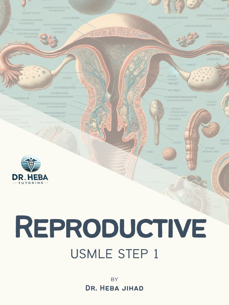 Dr.Heba Tutoring- Reproductive System | PDF | Menstrual Cycle | Luteinizing Hormone